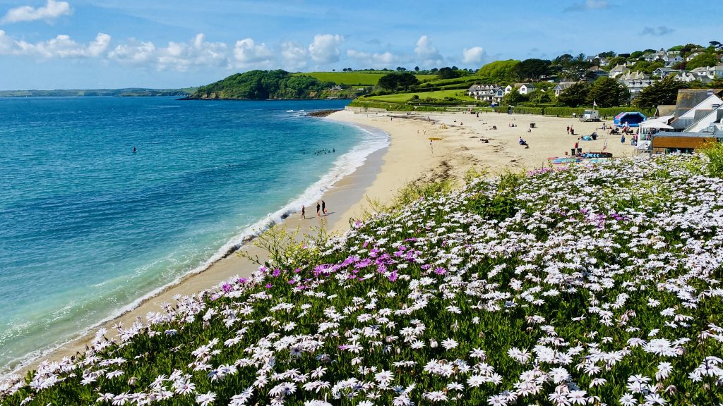 Things to do in Falmouth - Find Luxury Accommodation in Cornwall